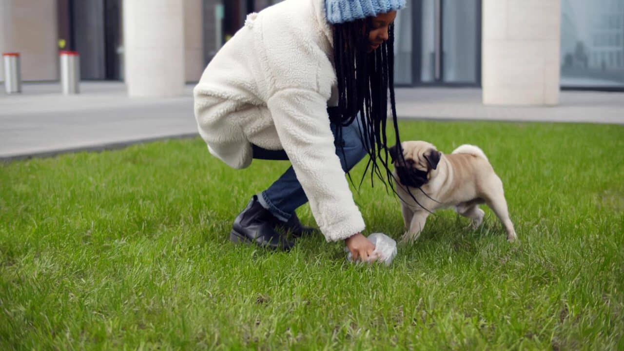 5 Ways To Make Picking Up Dog Poop Not So Terrible - Scoop Masters