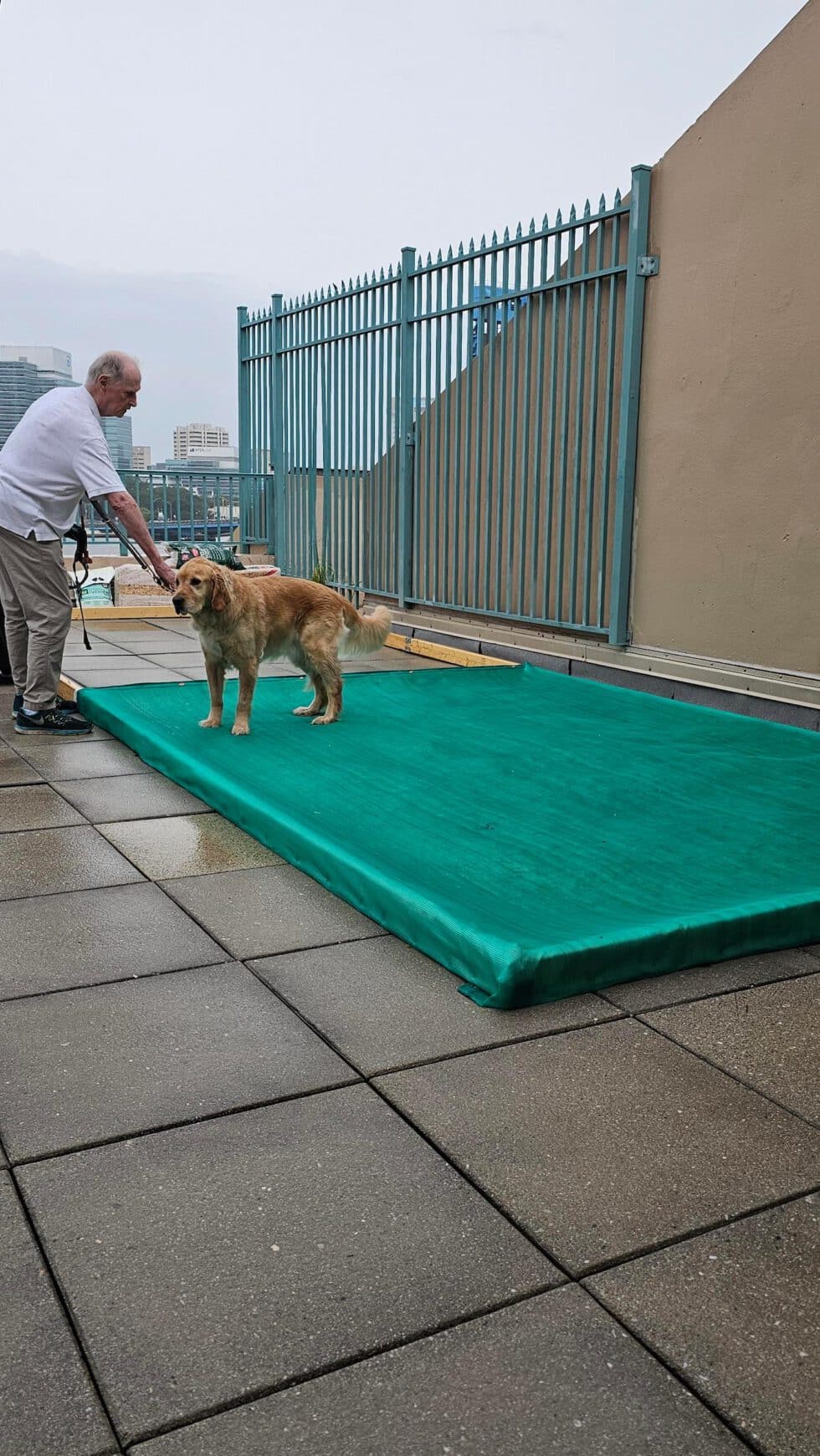 Scoop Masters Builds Guide Dog Relief Areas for the ACB