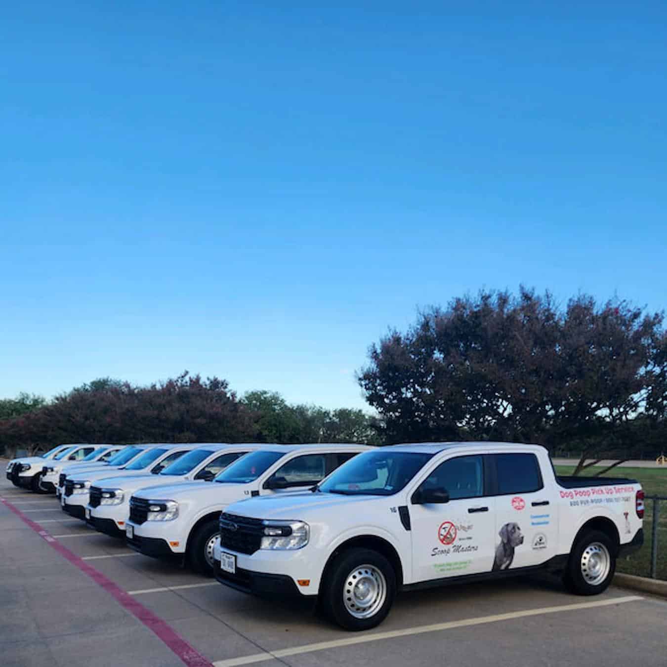 Scoop Masters DFW Partners With the Community Association Institute